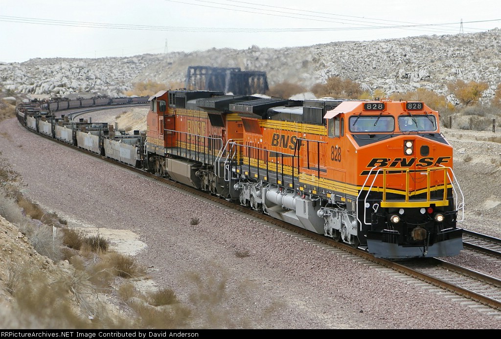 BNSF 828